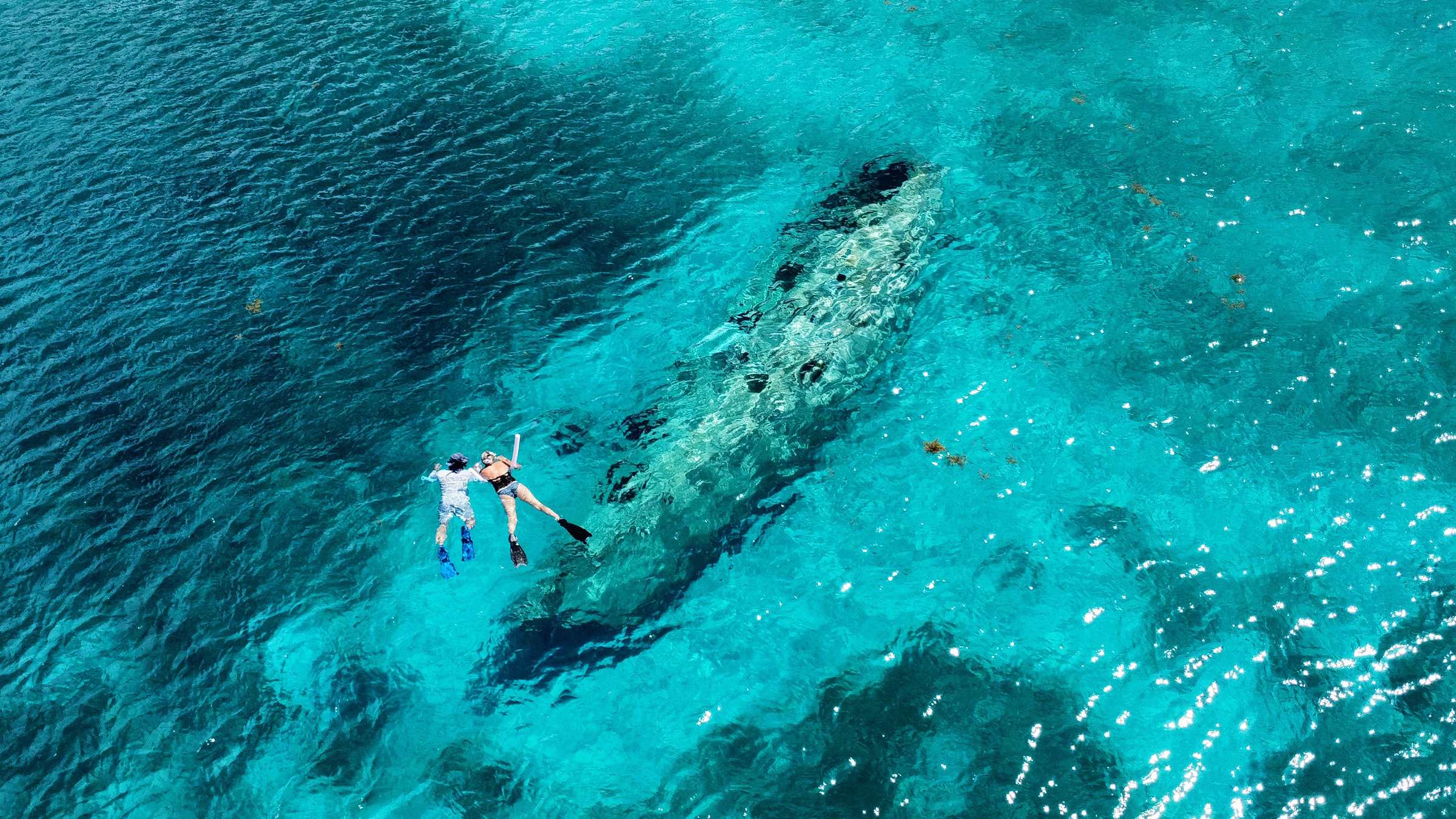 Top Spots for Snorkeling with Sea Turtles in the Virgin Islands ...